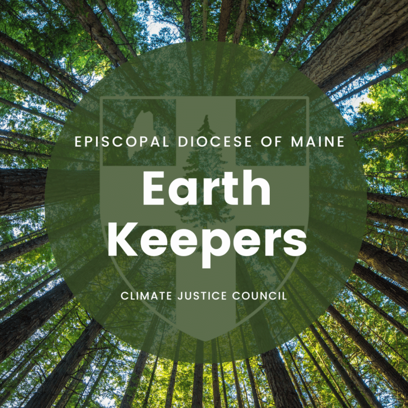 Earth Keeper Update from the Cathedral of St. Luke - Episcopal Maine